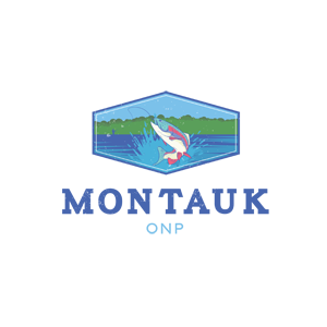 ProfitSolv- Director of Sales - Remote (Boca Raton, FL; ...)